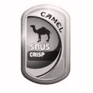 Expert Review: Camel Snus Pouches - Flavor, Size, and Nicotine Content ...