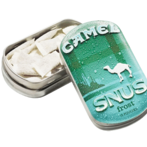 Expert Review: Camel Snus Pouches - Flavor, Size, and Nicotine Content ...